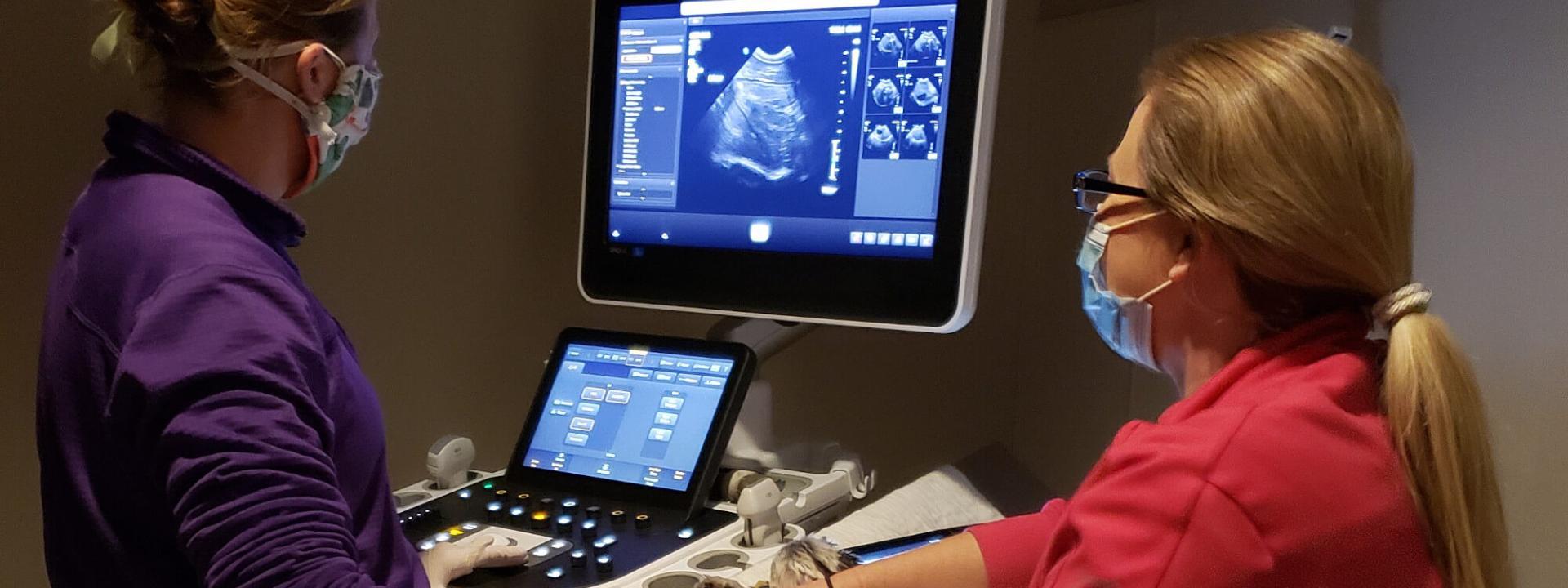 About Us | Veterinary Specialty Services